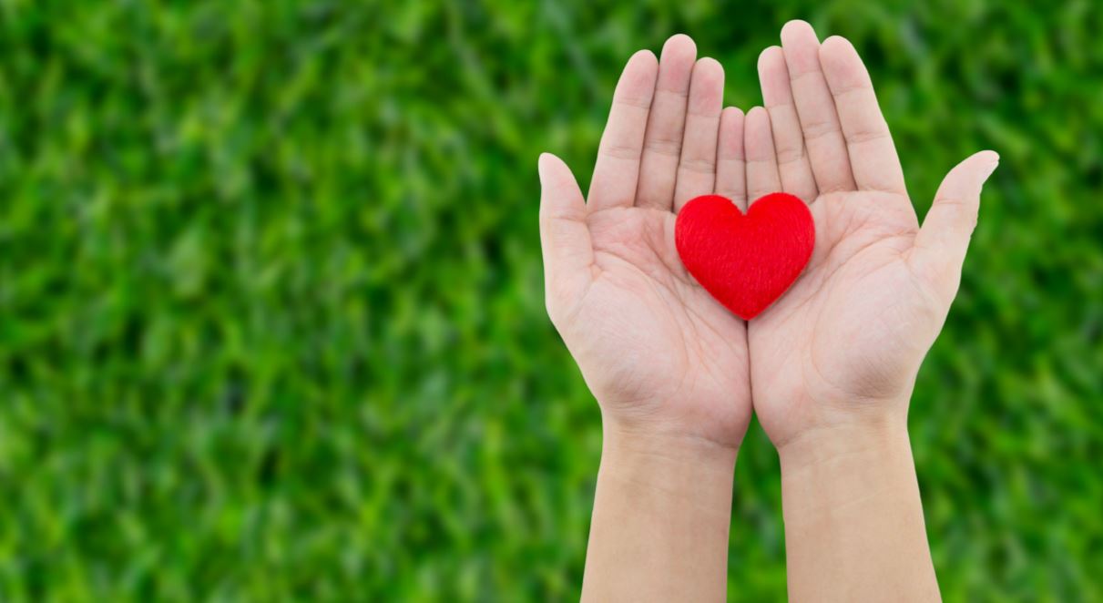 Do You Know Avnet Cares? | Avnet, Inc.